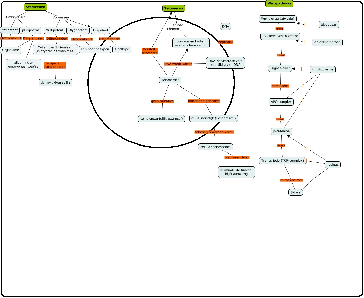 Cmap bijeenkomst 1B - stamcellen, differentiatie, de rol van telomeren, de Wnt pathway